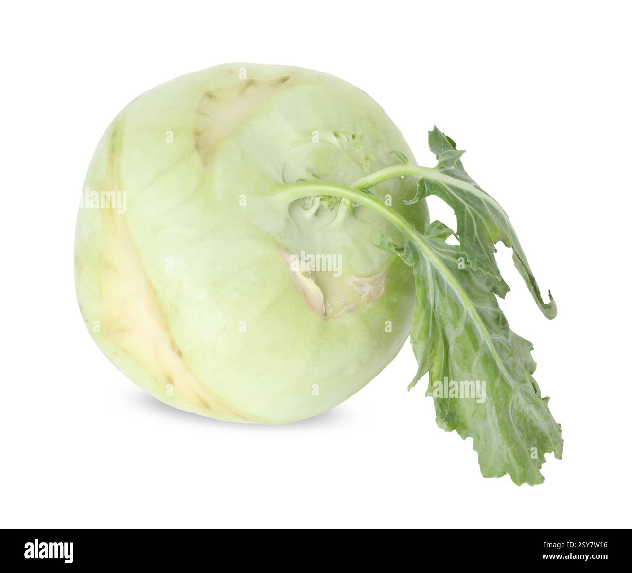 One fresh kohlrabi isolated on white. Vegetable root Stock Photo - Alamy