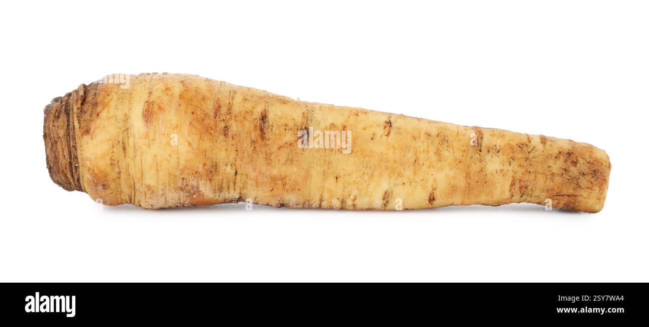 One fresh parsnip isolated on white. Root vegetable Stock Photo - Alamy