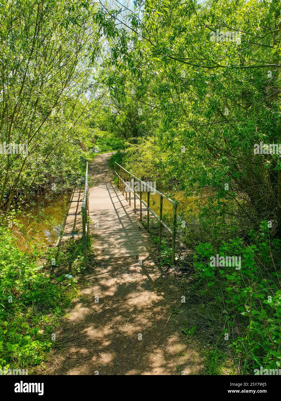 Spring colour at a nature reserve in Nottingham, UK Stock Photo - Alamy