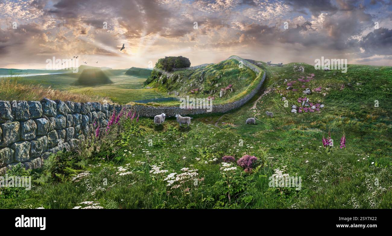 Photo of Hadrians Wall at sunrise looking towards Houseteads Roman Fort ...