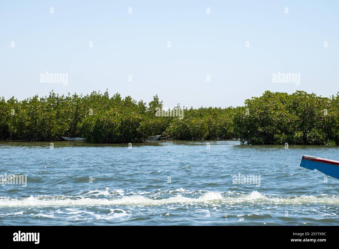 Exploring the Saloum River Delta by boat in Senegal Stock Photo - Alamy