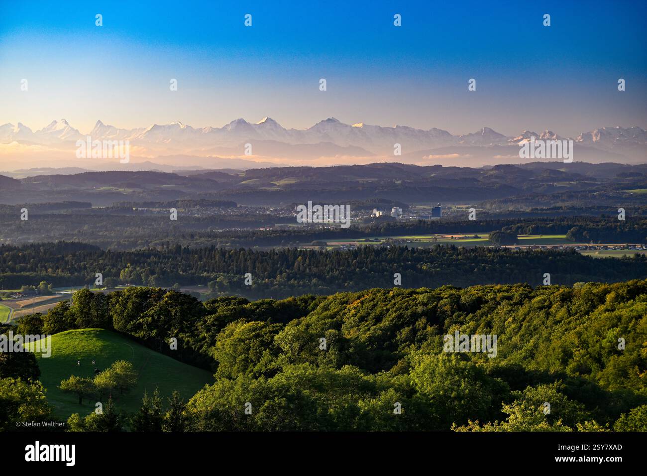 Swiss Alps Panorama with Vast Green Fields Stock Photo - Alamy