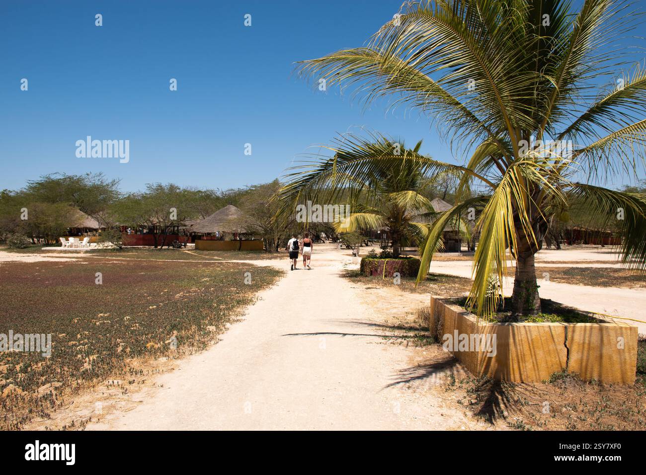 Exploring the Saloum River Delta in Senegal Stock Photo - Alamy