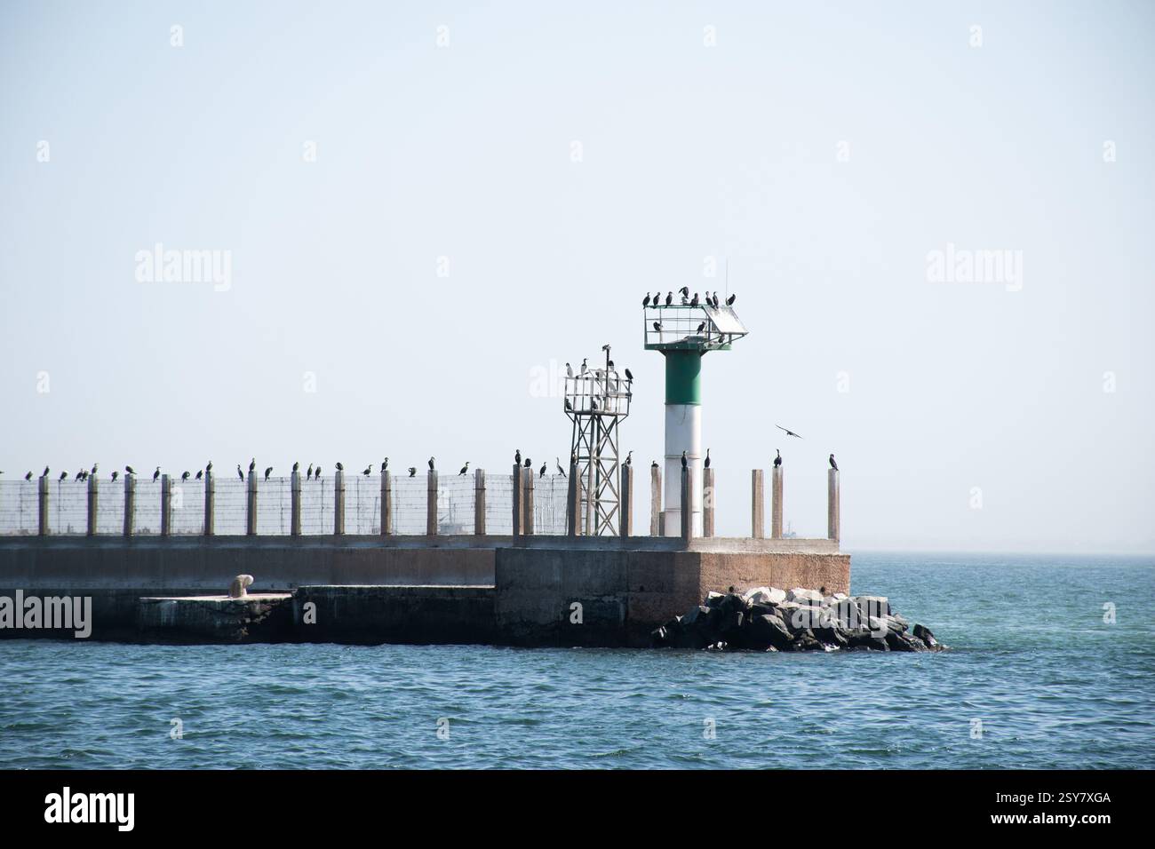 lighthouse on a pier with cormorant birds in Dakar, Senegal Stock Photo ...