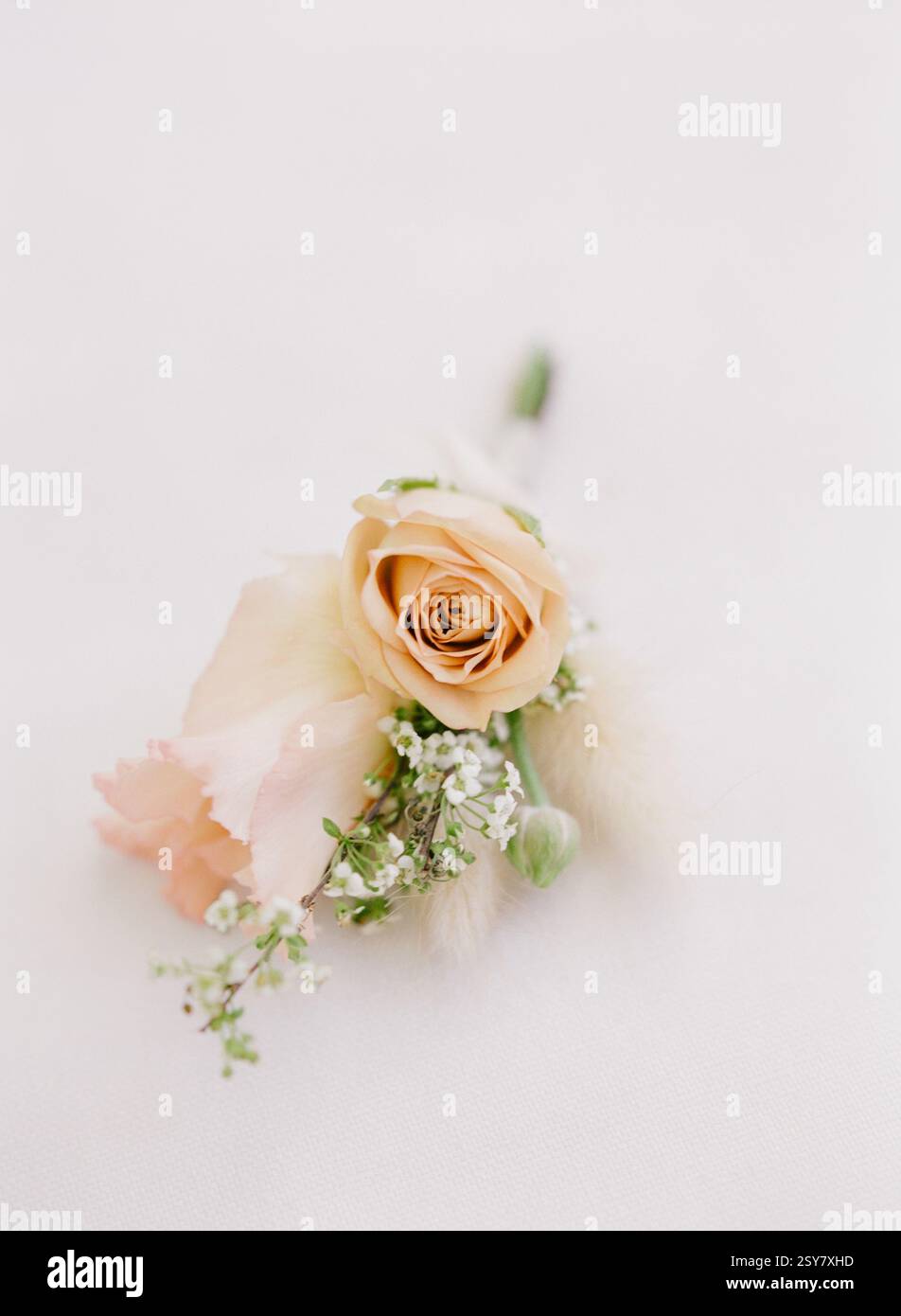 A beautiful combination of a peach rose and white blossoms creates an ...