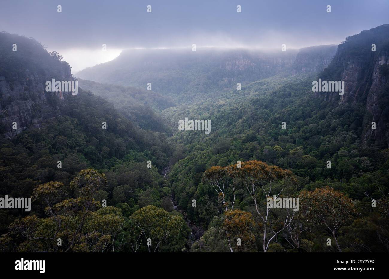 Fog and Sunlight Over Kangaroo River Gorge Stock Photo - Alamy