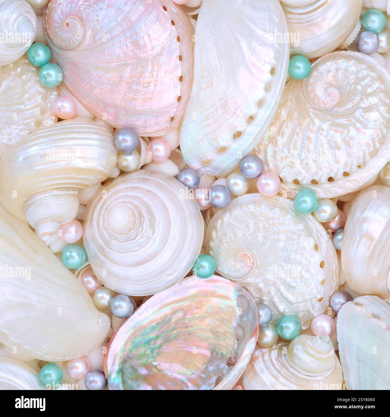 Pearls and mother of pearl sea shells background. Abalone troca and ...