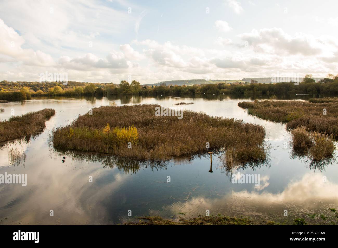 Exploring the marshy area in the Attenborough Nature Reserve in ...