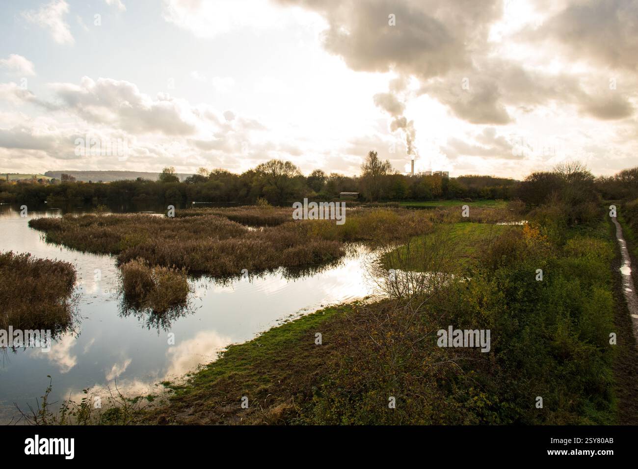Exploring the marshy area in the Attenborough Nature Reserve in ...