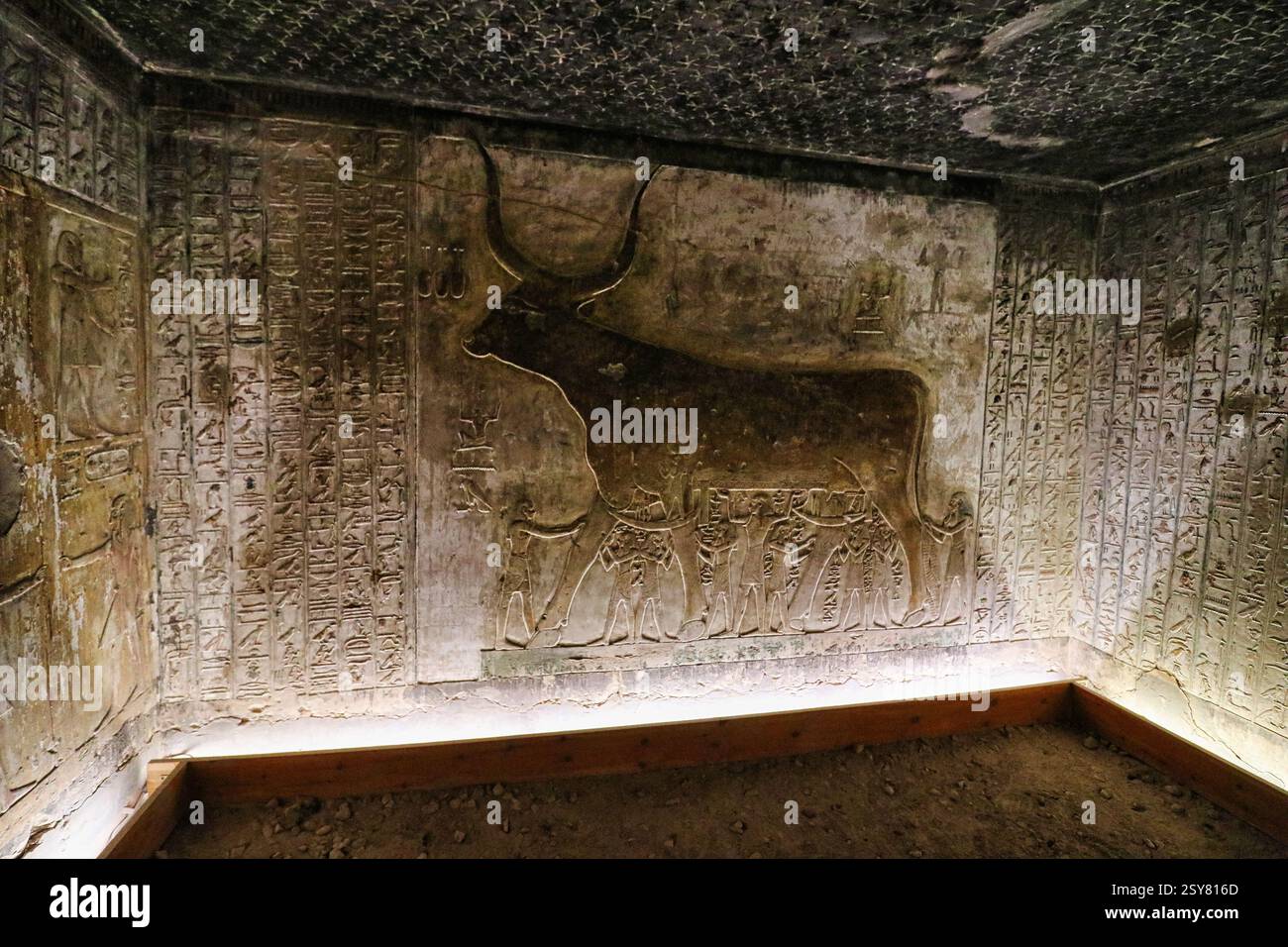 Pharoah and cow hi-res stock photography and images - Alamy
