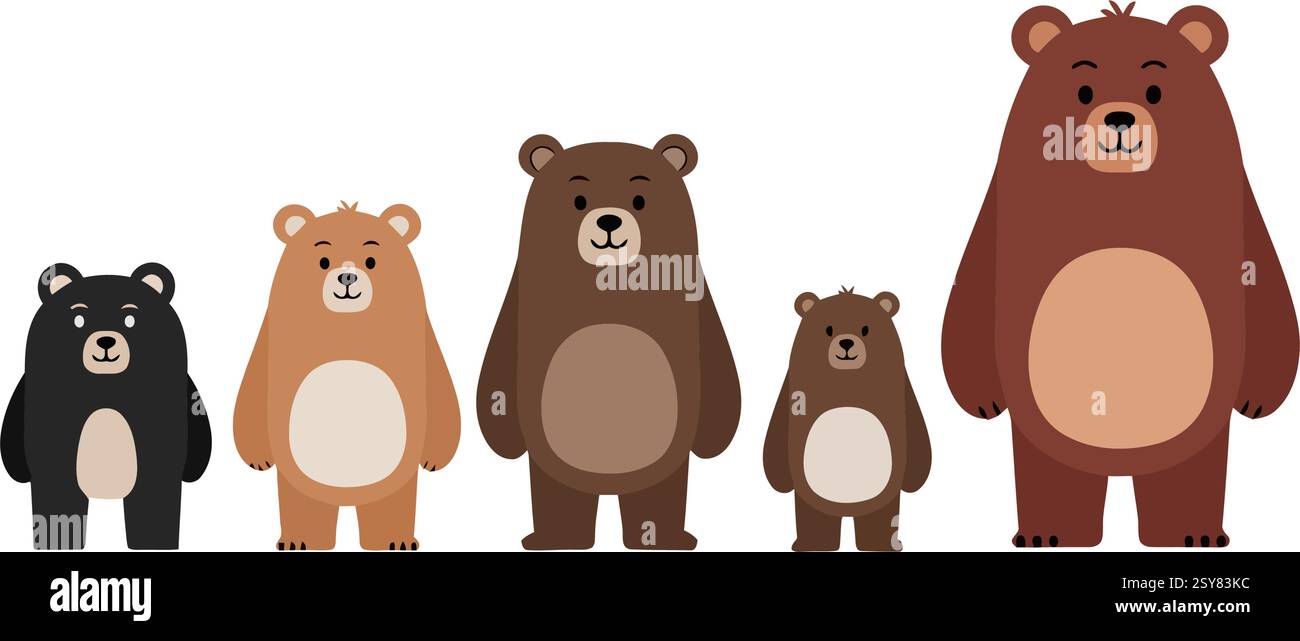 Cartoon Illustration of Five Different Bears Standing in a Row on a ...