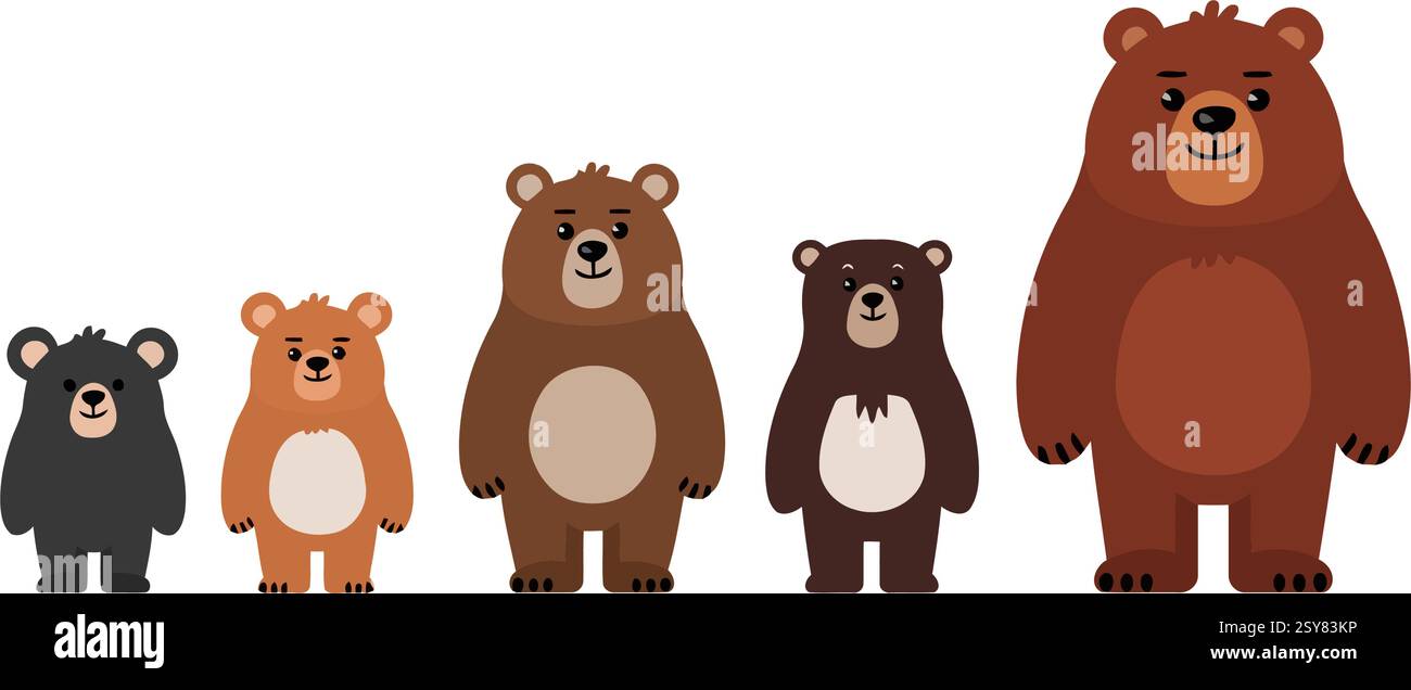 Cartoon Illustration of Five Different Bears Standing in a Row on a ...