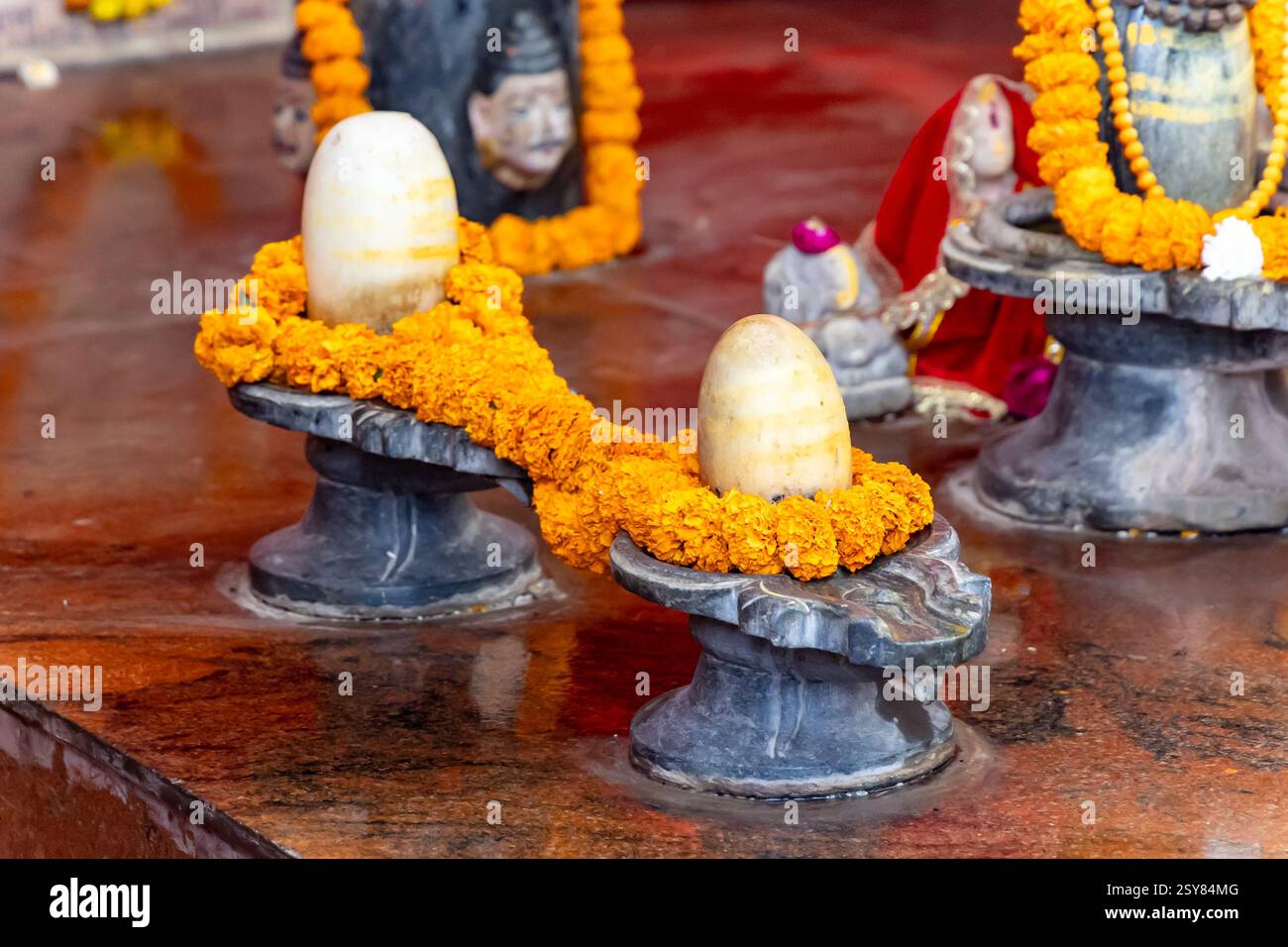 hindu god lord shivalinga worshiped by devotee with garland offering at ...
