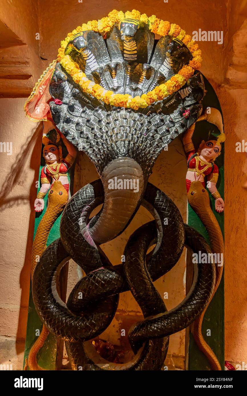 hindu god lord sheshnag worshiped by devotees with garland offering at ...