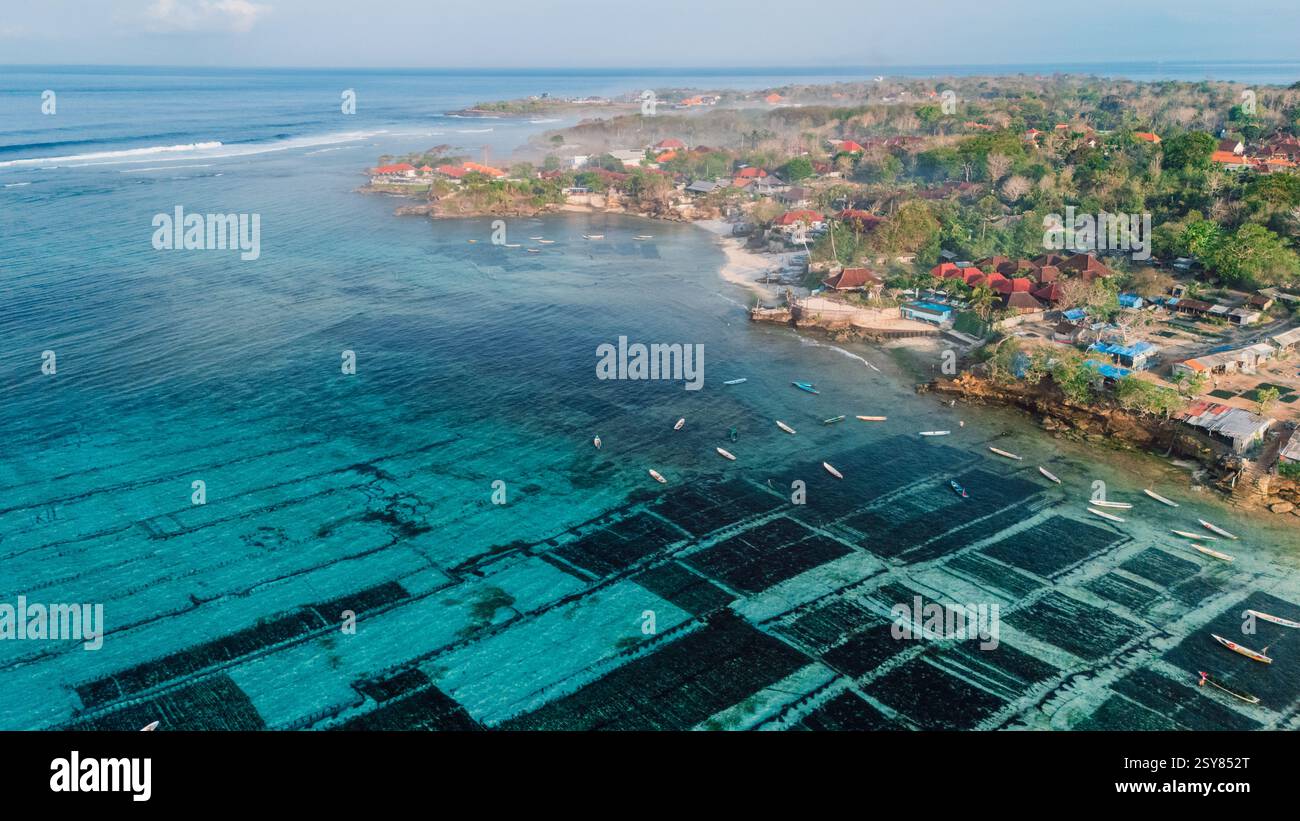Seaweed farm at Lembongan island in Indonesia with morning light and ...