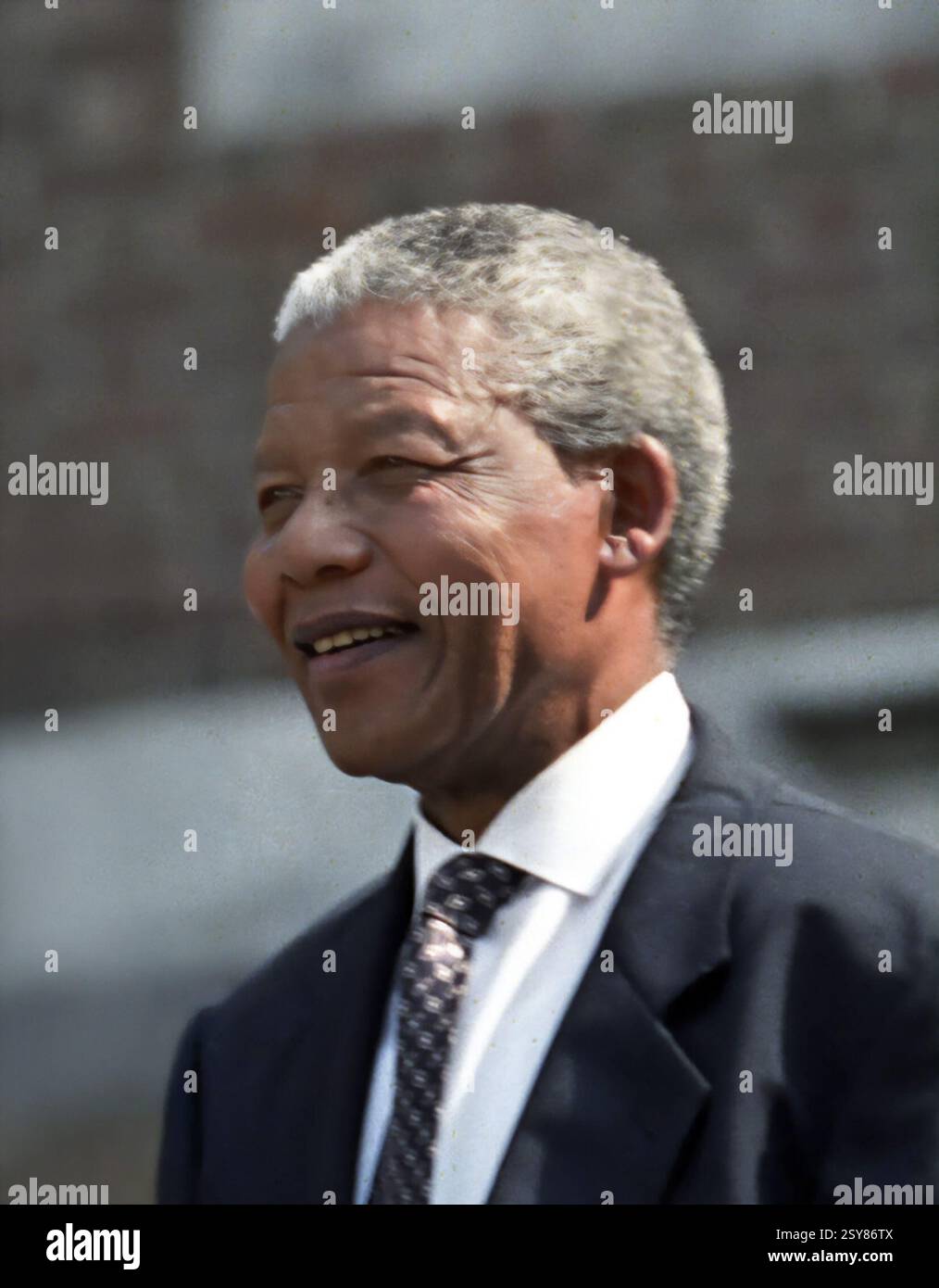 Nelson mandela 1993 hi-res stock photography and images - Alamy