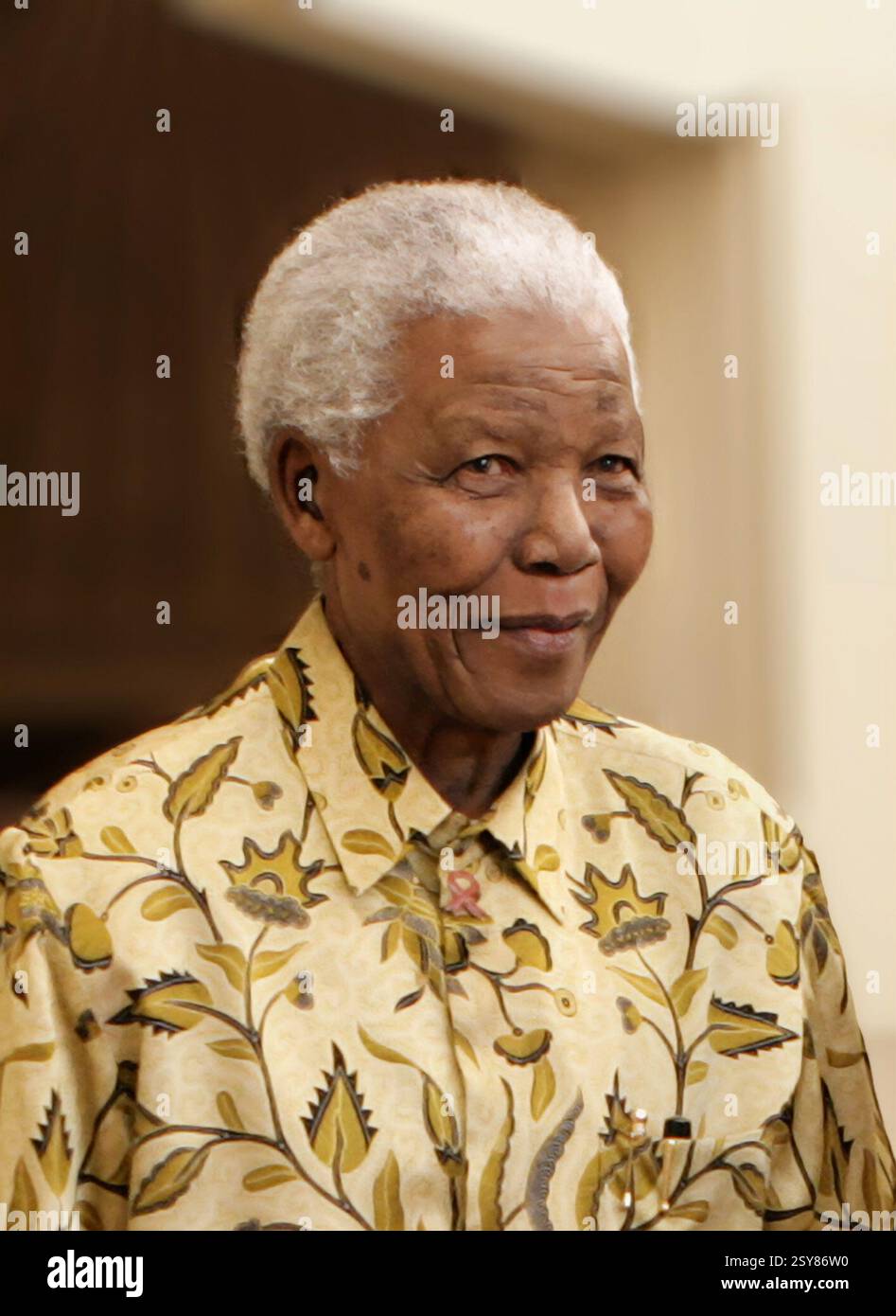 Nelson Mandela. Portrait of the former President of South Africa ...