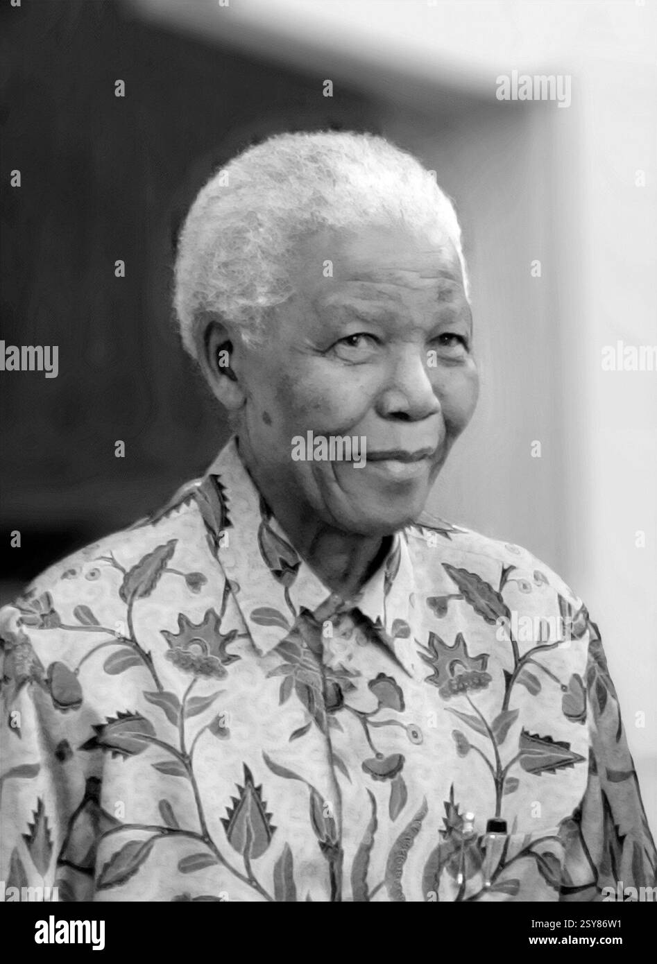 Nelson Mandela. Portrait of the former President of South Africa ...