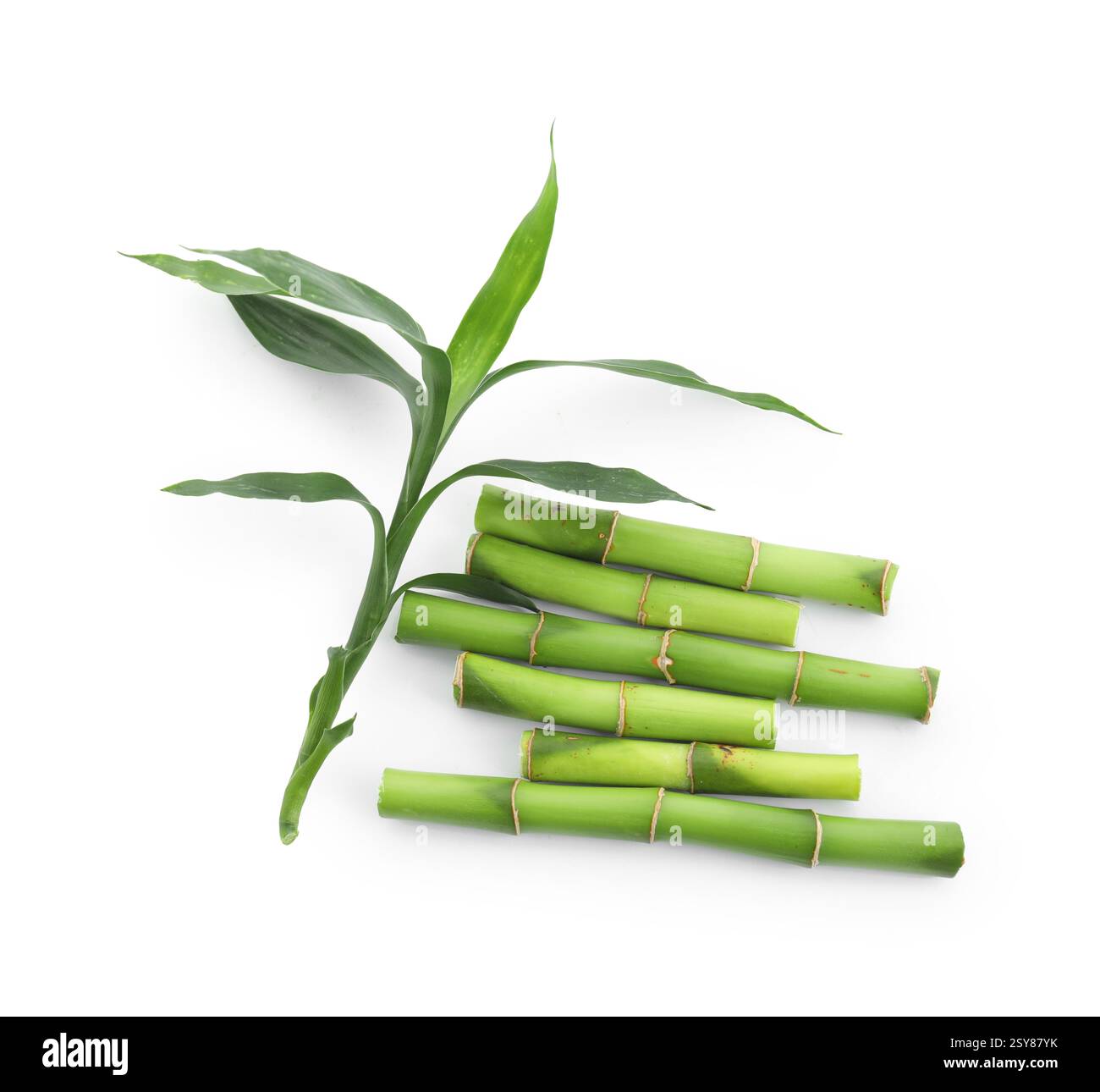 Cut green bamboo stems and leaves isolated on white, top view Stock ...