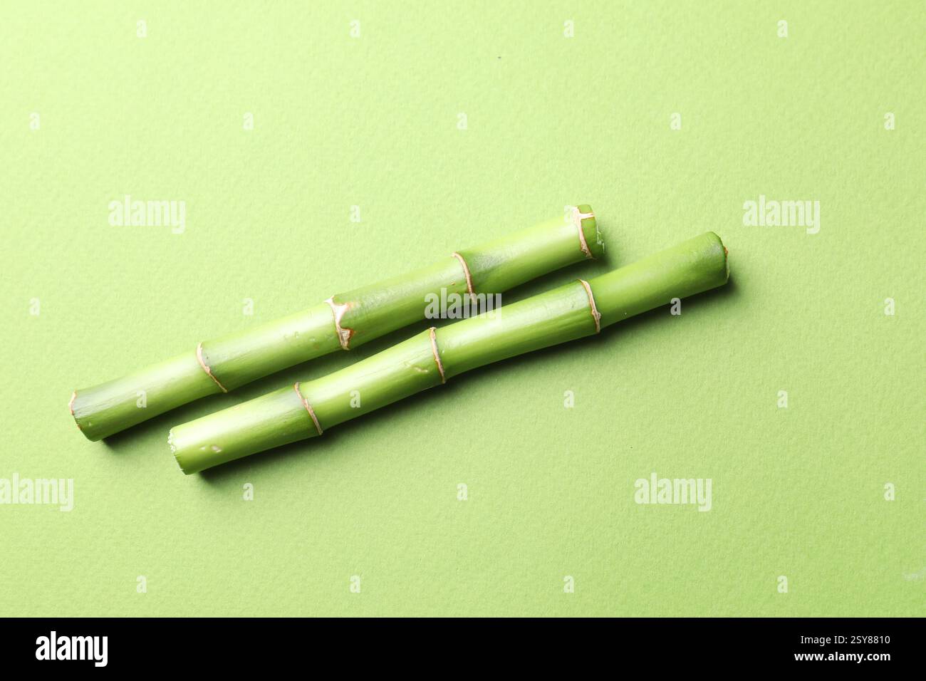 Cut bamboo stems on light green background, flat lay Stock Photo - Alamy