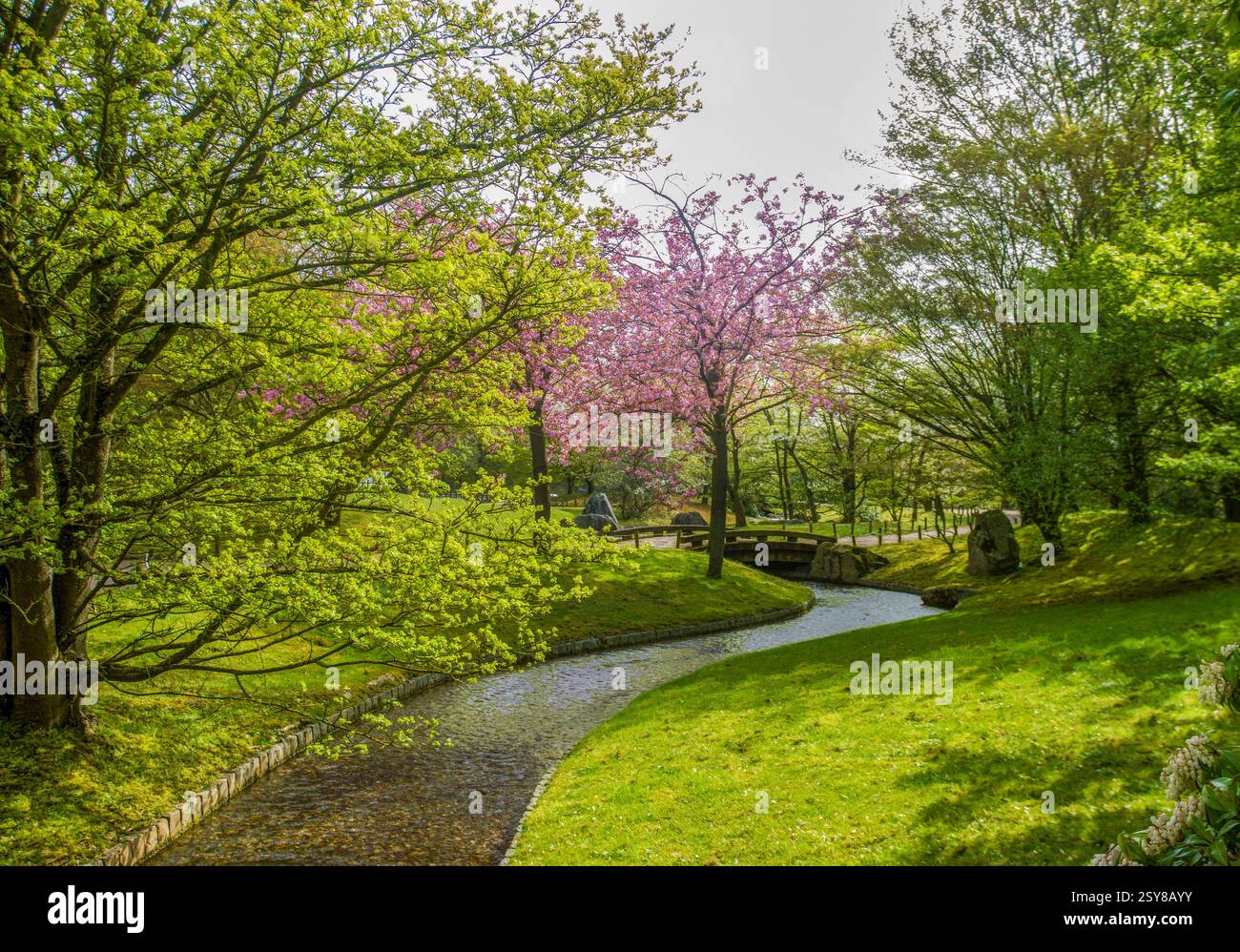 Bohn japanese garden hi-res stock photography and images - Alamy