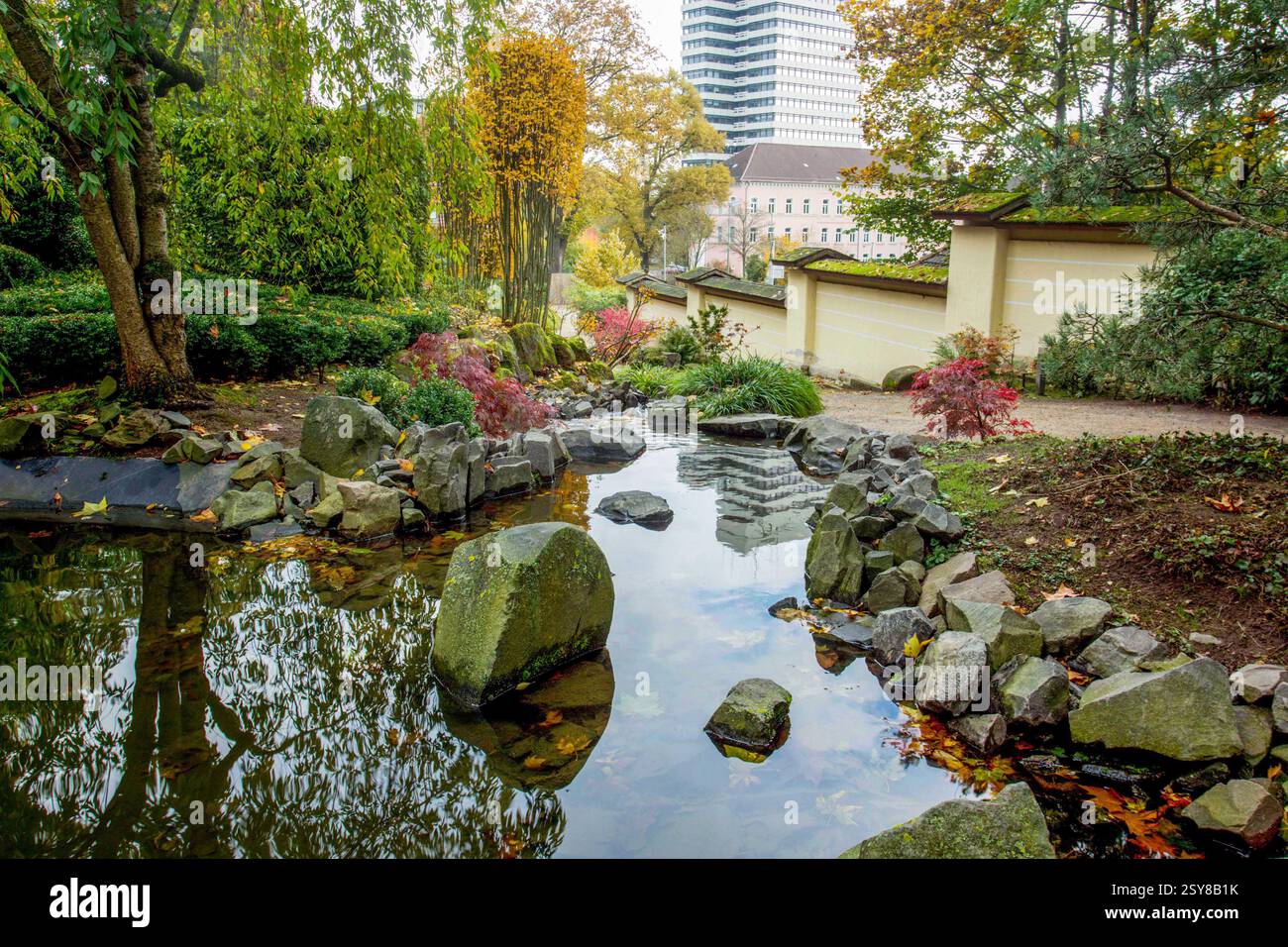 Autumn leaf color and Momiji (Momiji-gari) of red leaves in Japanese ...