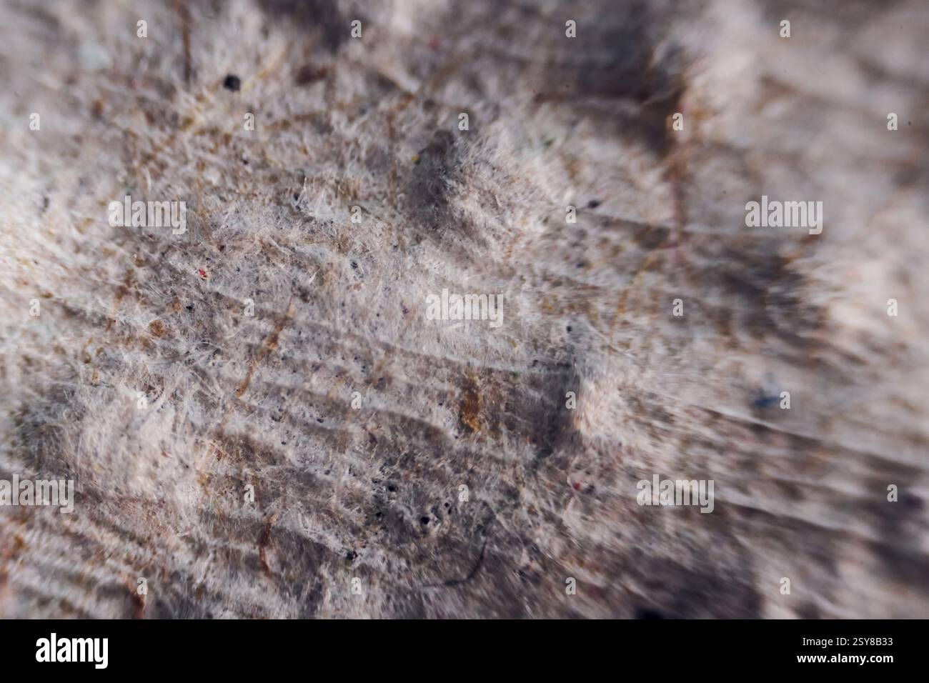 Paper under microscope hi-res stock photography and images - Alamy