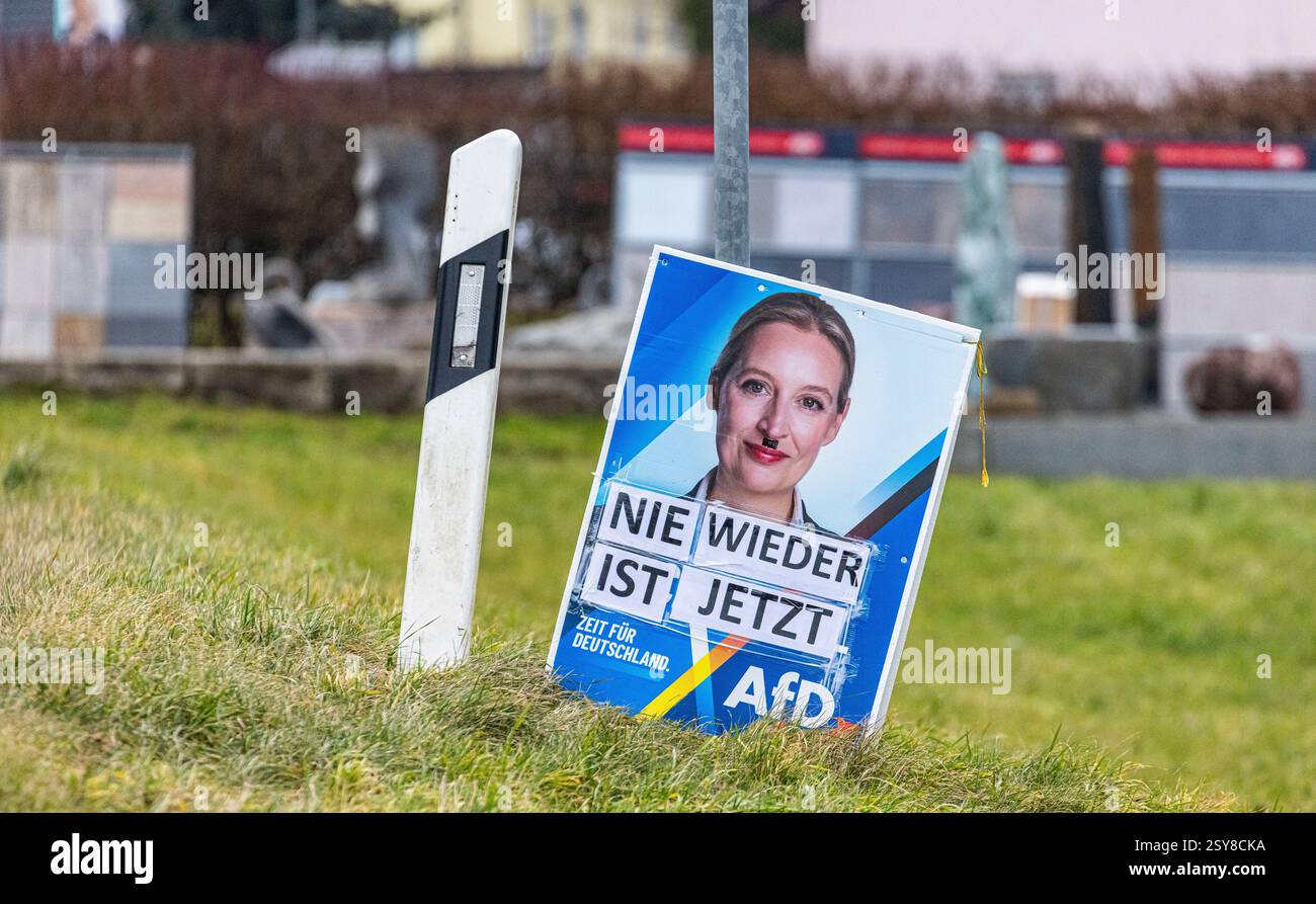 Lotstetten, Germany, 2nd Feb 2025: The election campaign poster of ...