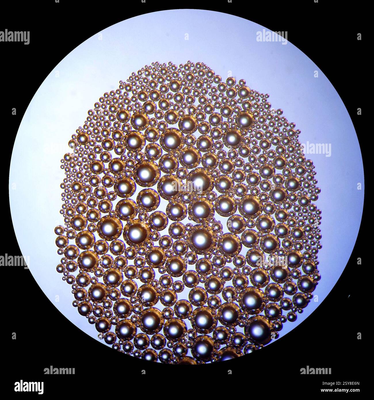 Microscopic air bubbles with creative illumination Stock Photo - Alamy