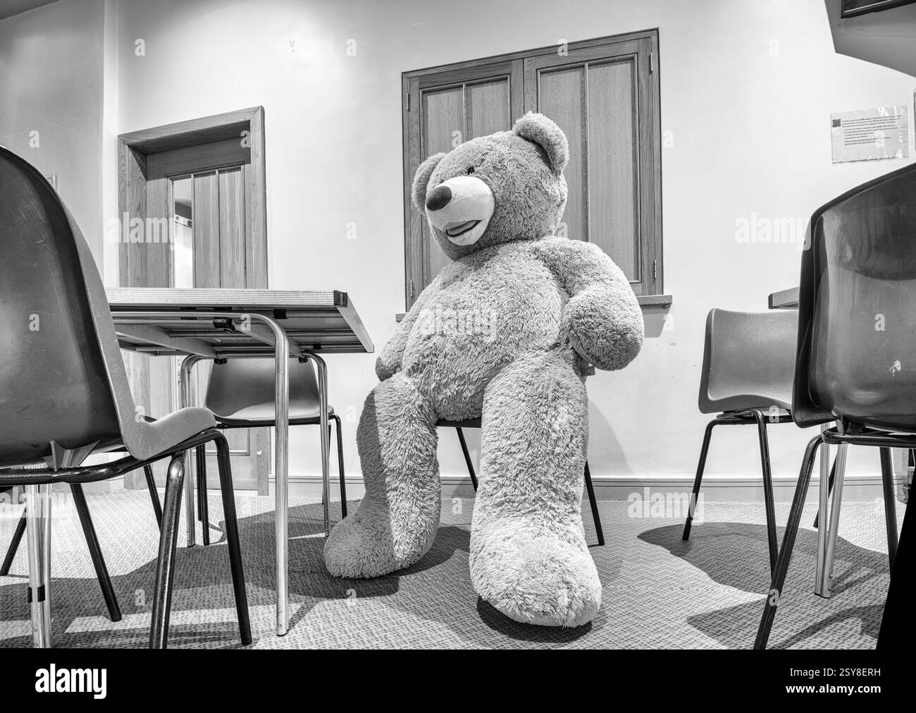 Giant Teddy Bear seated at one end of the parish church in Settle (Holy ...