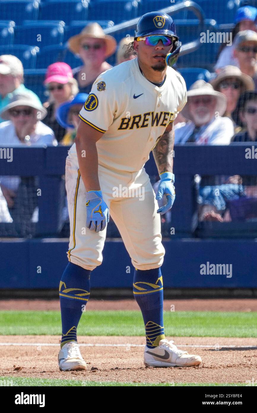 Milwaukee Brewers catcher William Contreras (24) during a spring ...