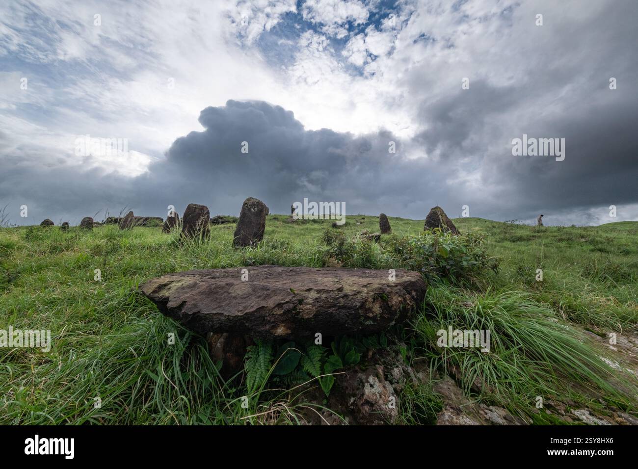 Meghalaya, India : Khasi megaliths - memorial stones from india Stock ...