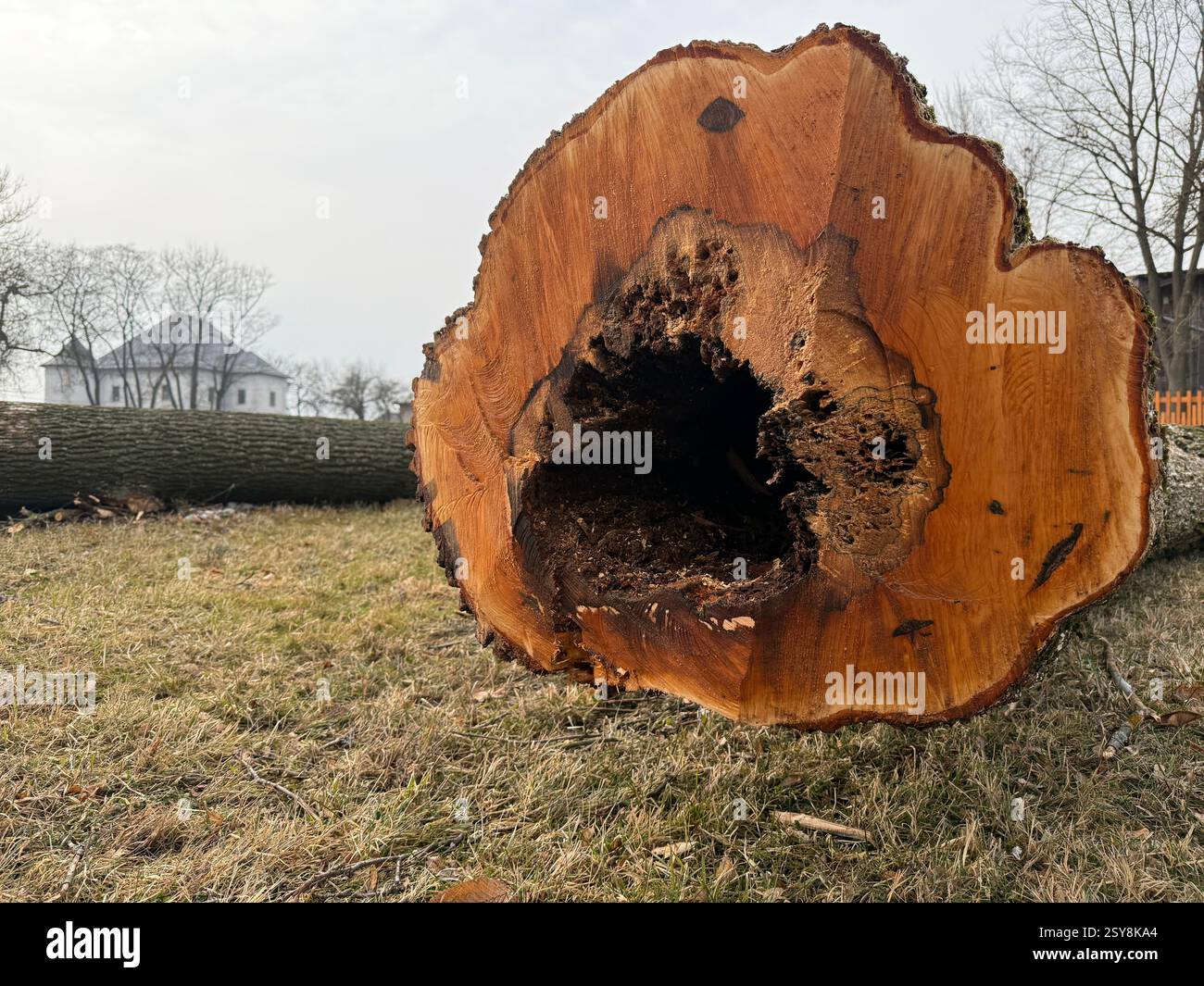 unstoppable,development of architecture,process. development,progress ...