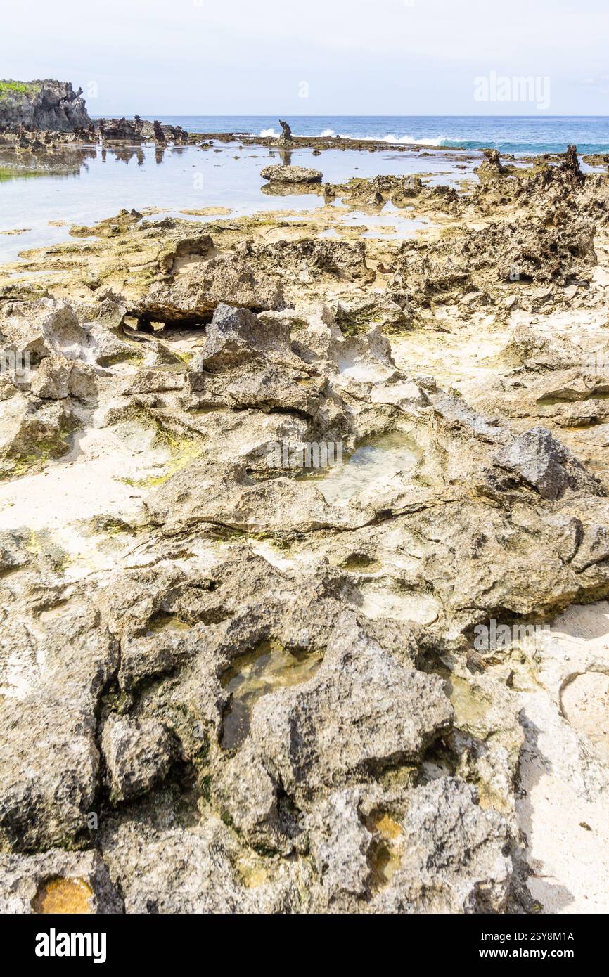 Beach with sharp coralline rocks in Siargao, Philippines, showcasing ...