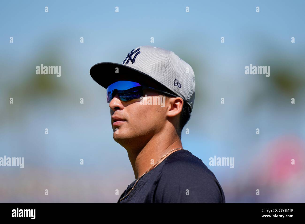 New York Yankees shortstop Anthony Volpe looks toward the crowd while ...