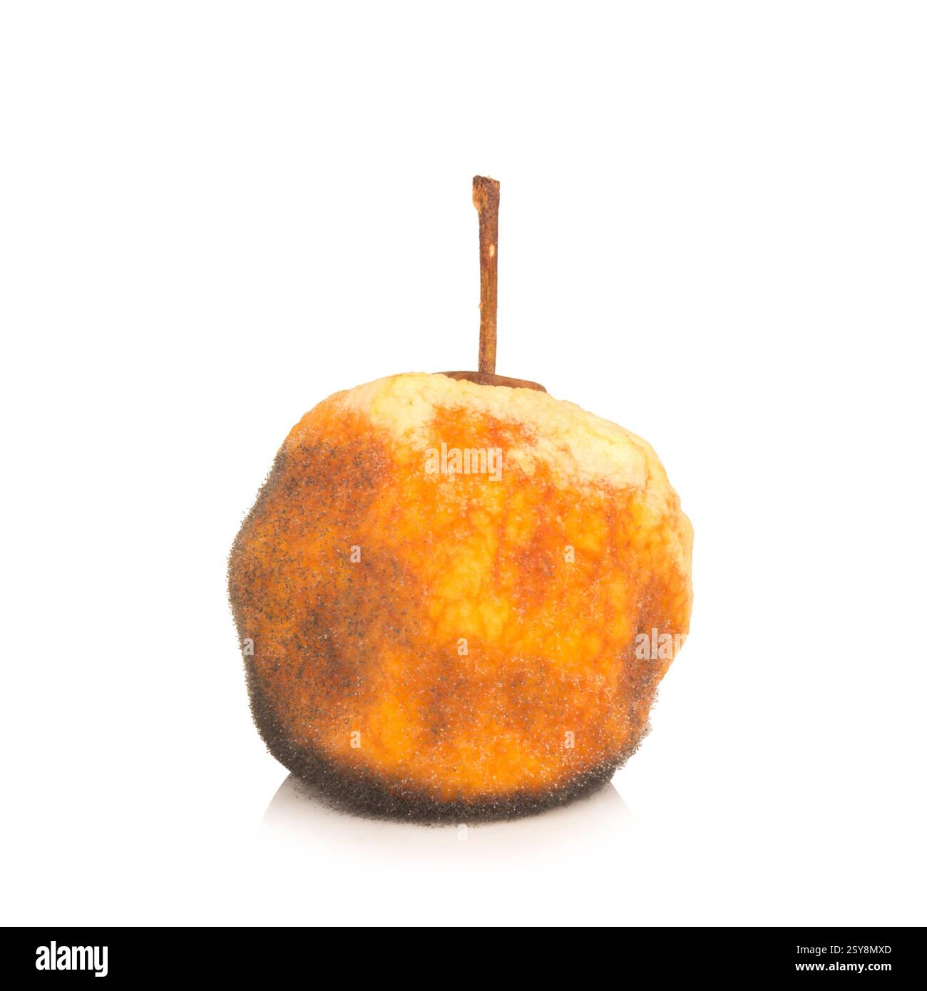 apple peel dry isolated on white background Stock Photo - Alamy