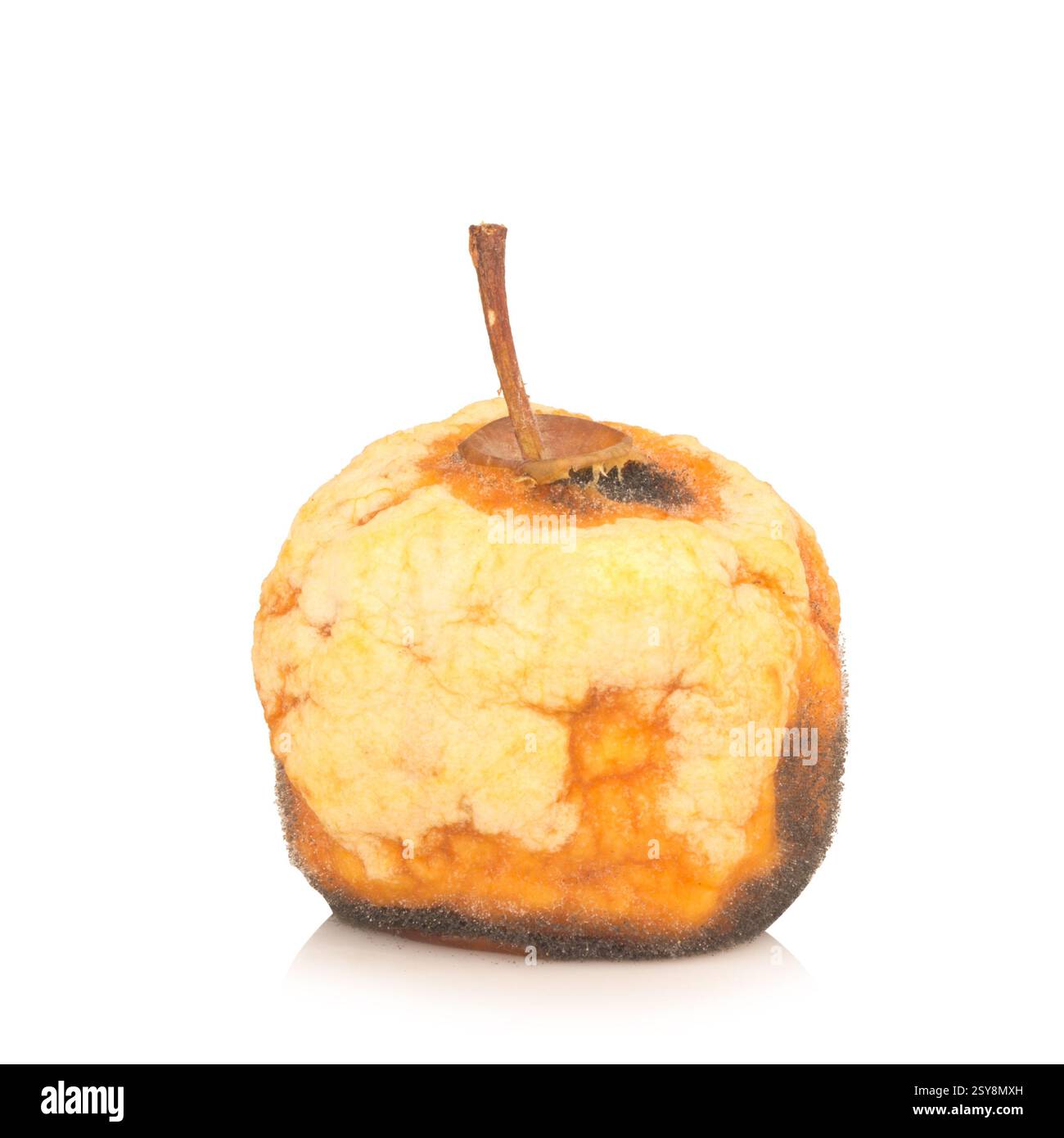 apple peel dry isolated on white background Stock Photo - Alamy