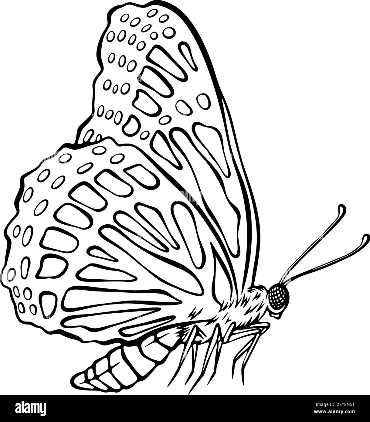 Small butterfly on white Black and White Stock Photos & Images - Alamy