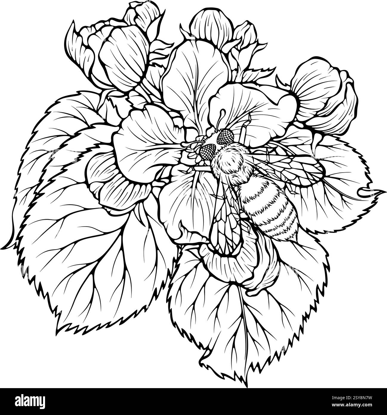 Apple blossom with bee line art Stock Vector Image & Art - Alamy