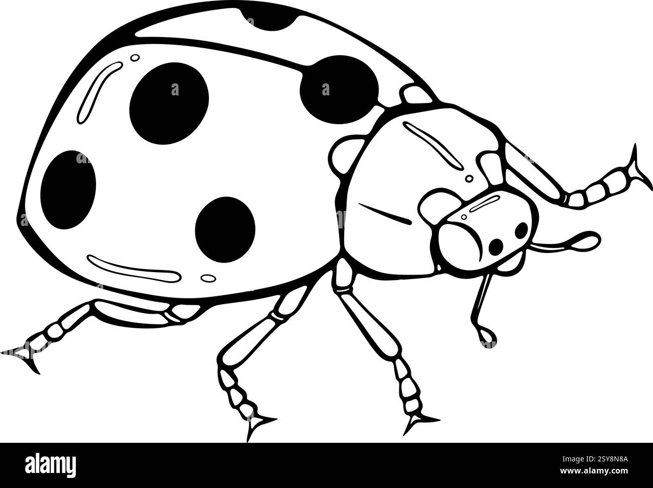 Ladybug side view line art Stock Vector Image & Art - Alamy