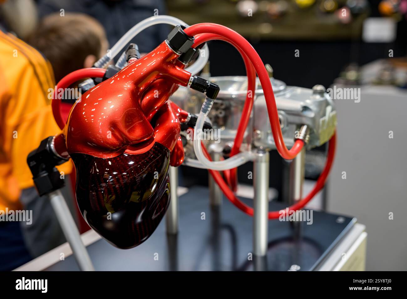 Innovative heart model showcased at a science fair in a bustling ...