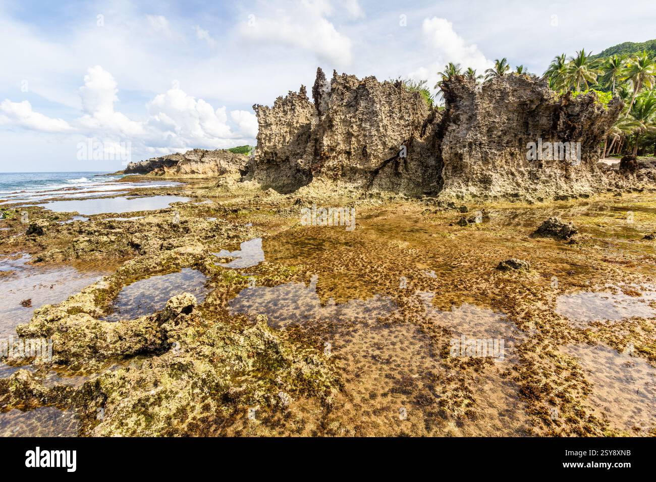 Beach with sharp coralline rocks in Siargao, Philippines, showcasing ...