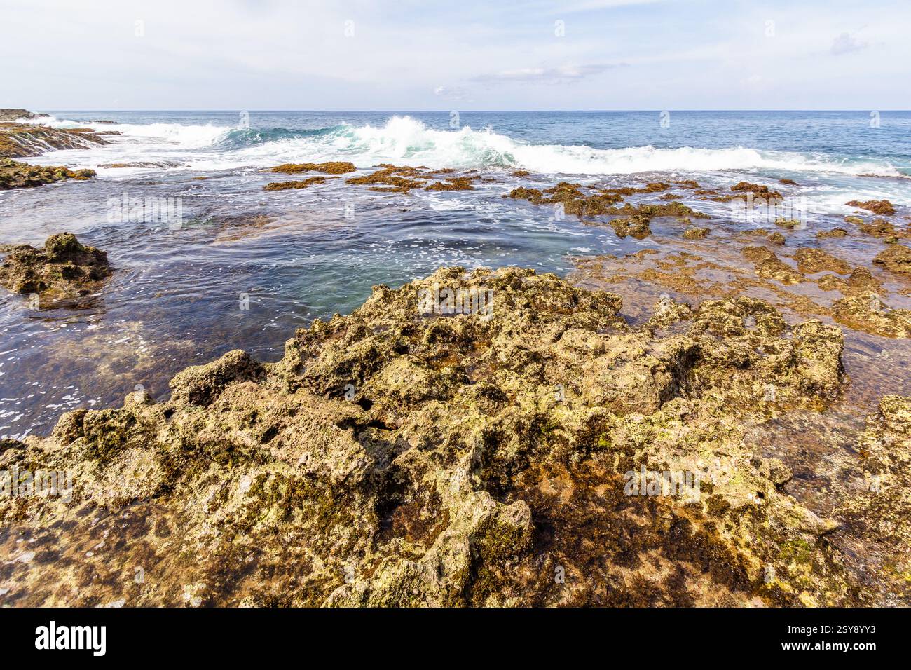 Beach with sharp coralline rocks in Siargao, Philippines, showcasing ...