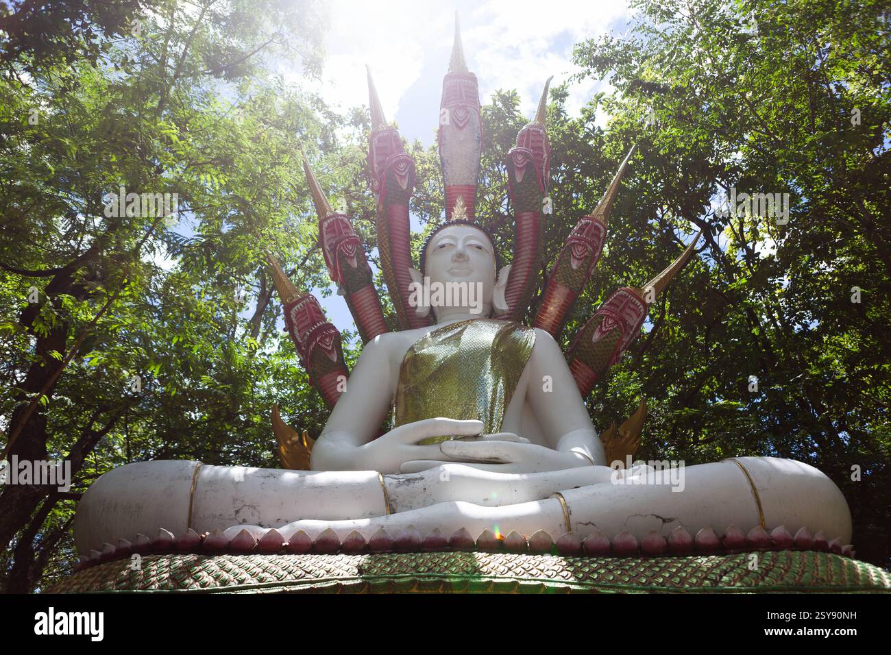 Sitting Buddha statue with naga in the forest at Wat Analayo in Phayao ...