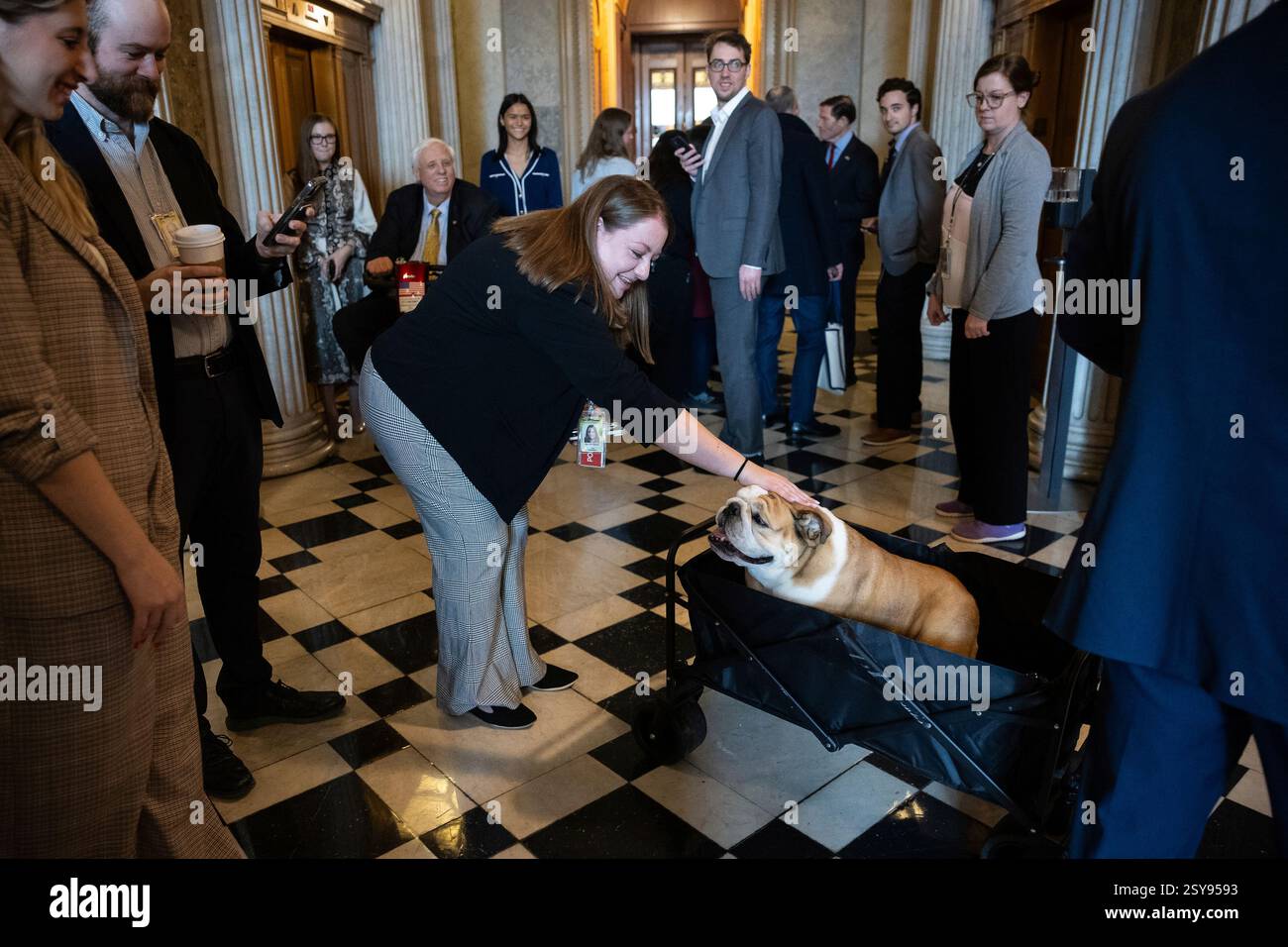 POLITICO reporter Lisa Kashinsky pets Babydog, the dog of Sen. Jim ...
