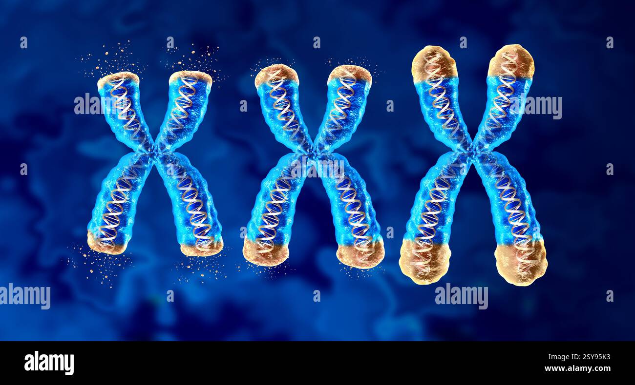 Reverse aging Telomeres as regeneration of Telomere as the protective ...