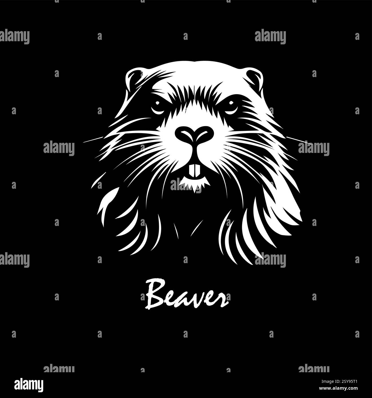 Beaver head on black background. hand drawing. Not AI, Vector ...