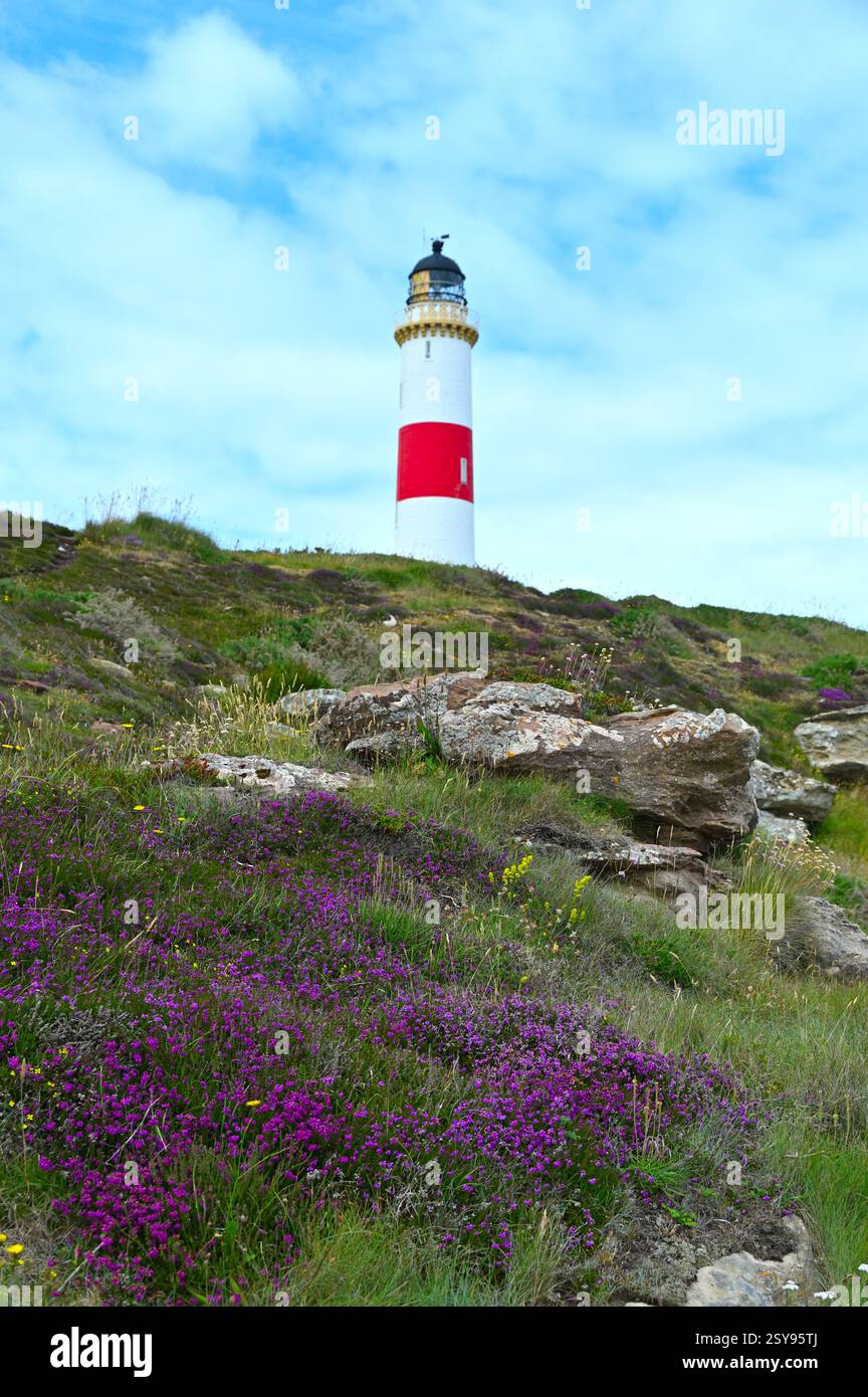 Red and white striped Tarbat Ness lighthouse, Scotland Stock Photo - Alamy
