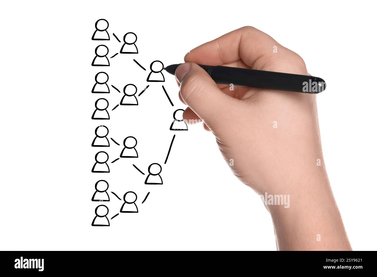 Man drawing family tree on white background. Scheme with human figures ...