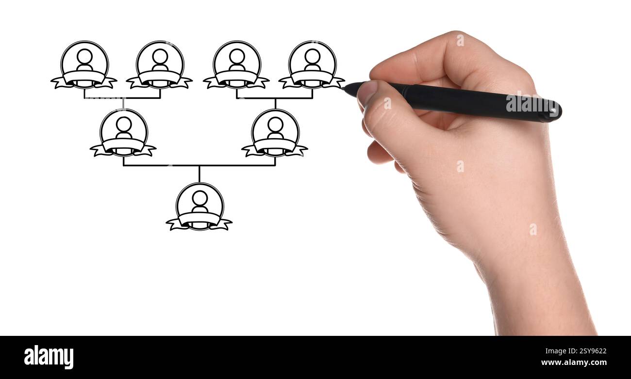Man drawing family tree on white background. Scheme with human figures ...